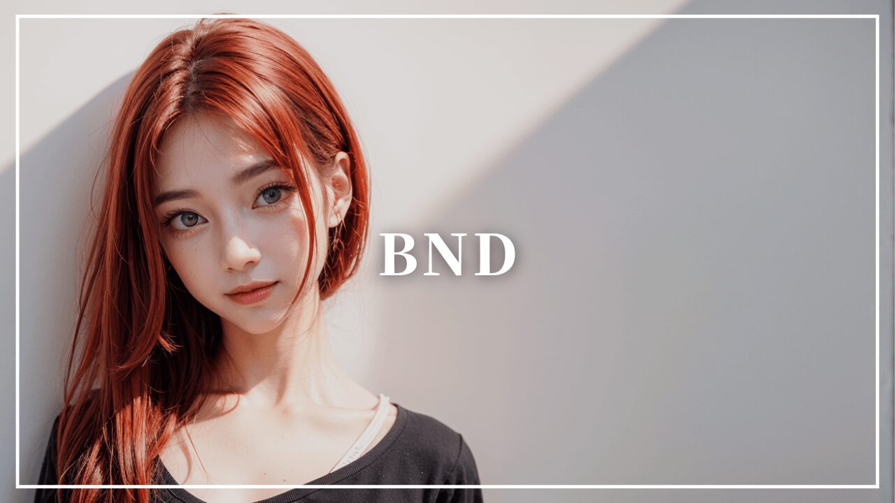 【毎日更新】BNDの最新利回りデータを公開！ドル建て・円建てでの過去平均値は？ | 株で生活.com